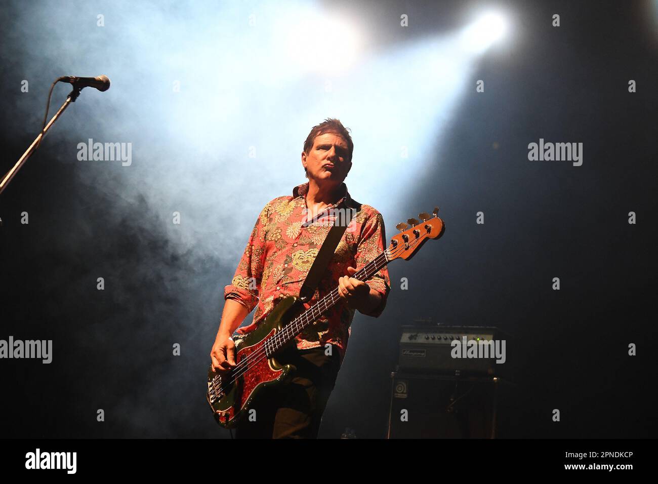 Il bassista richard grossman immagini e fotografie stock ad alta ...