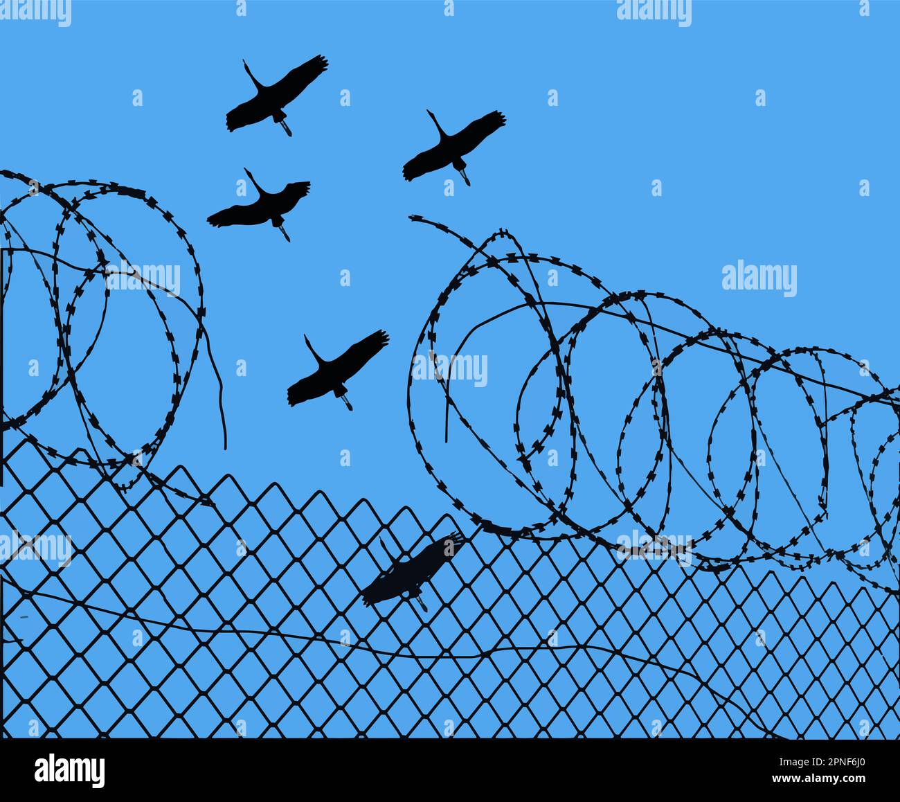Uccelli nel filo spinato Immagini Vettoriali Stock - Alamy