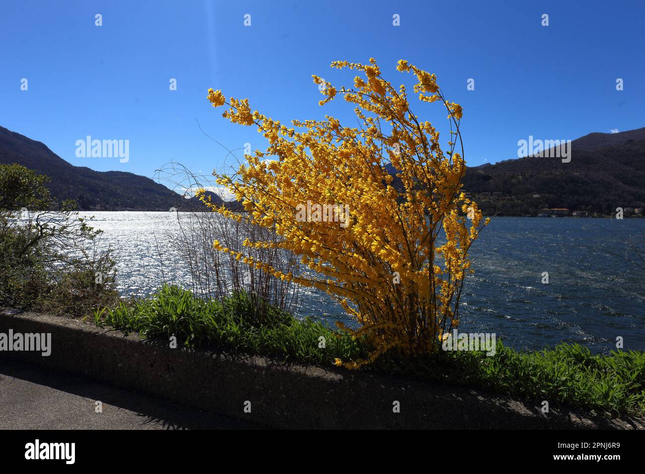 Lago di carona immagini e fotografie stock ad alta risoluzione - Alamy