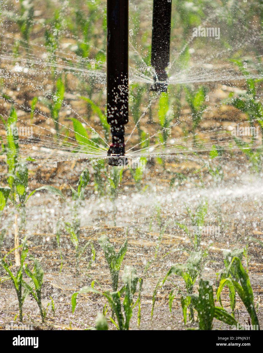 Ciclo dell'acqua delle terre immagini e fotografie stock ad alta ...