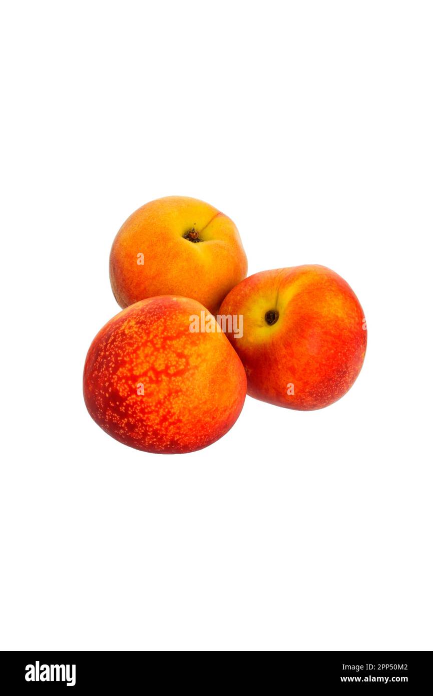 Sfondo bianco di pesca immagini e fotografie stock ad alta risoluzione ...