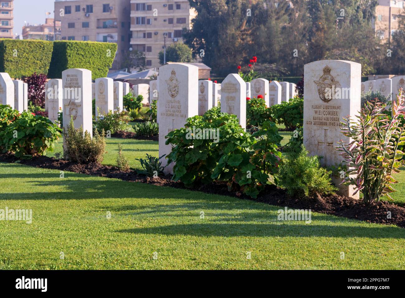 Cimitero di guerra del cairo immagini e fotografie stock ad alta ...
