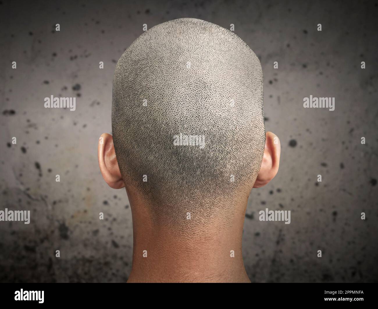 Pelle rasata immagini e fotografie stock ad alta risoluzione - Alamy