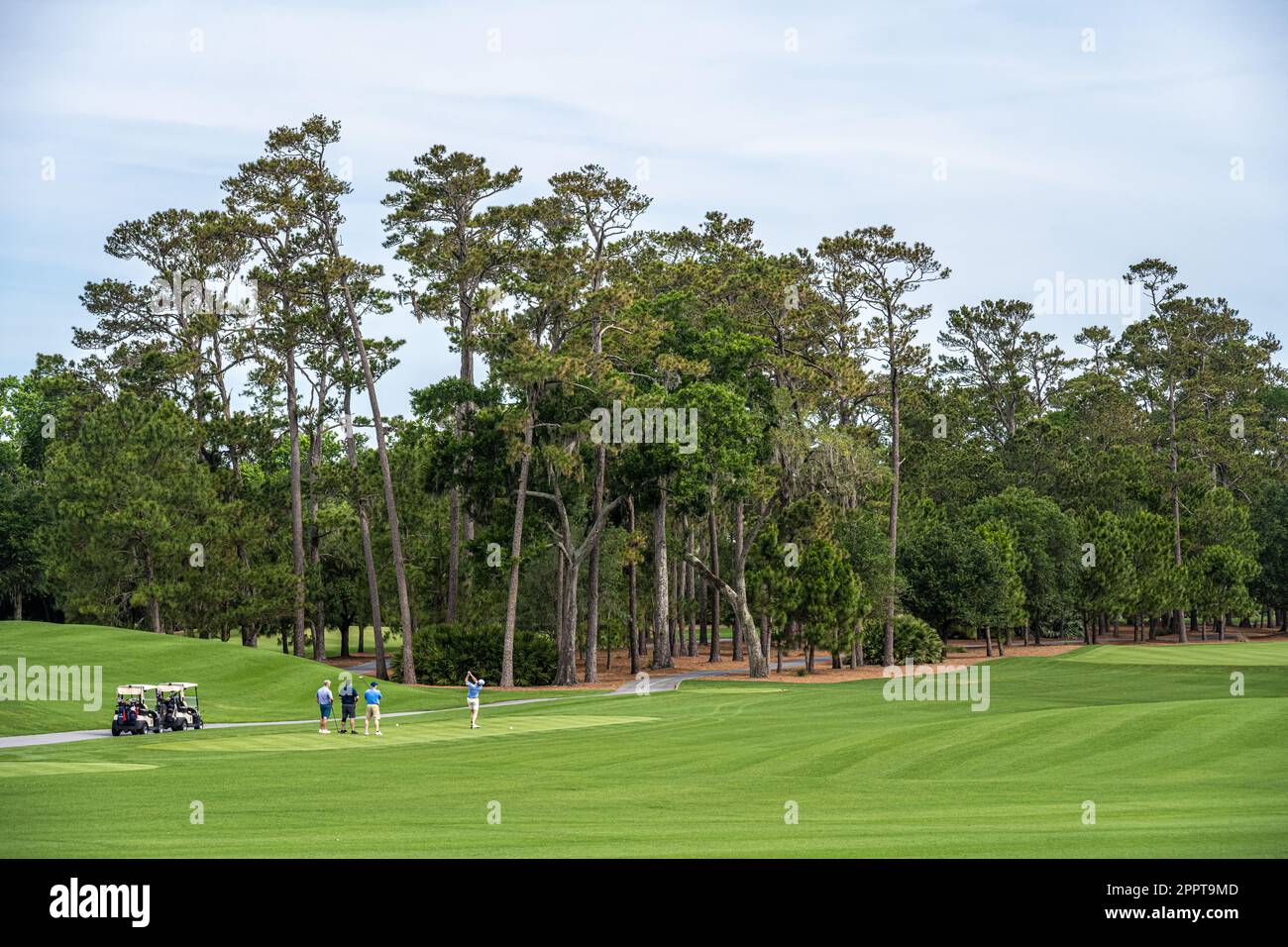 Tpc sawgrass campo da golf immagini e fotografie stock ad alta ...