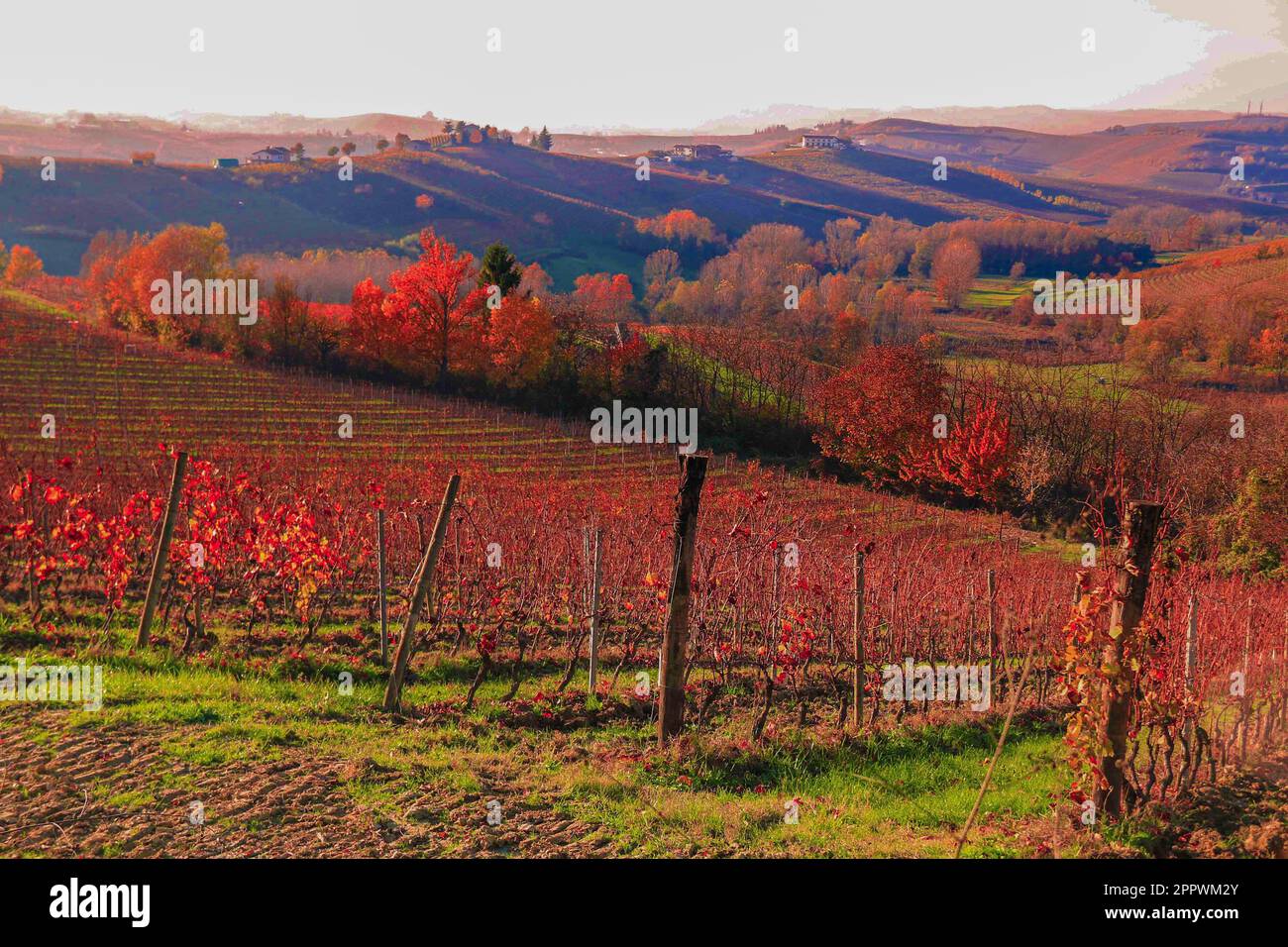 Monferrato vigne immagini e fotografie stock ad alta risoluzione - Alamy
