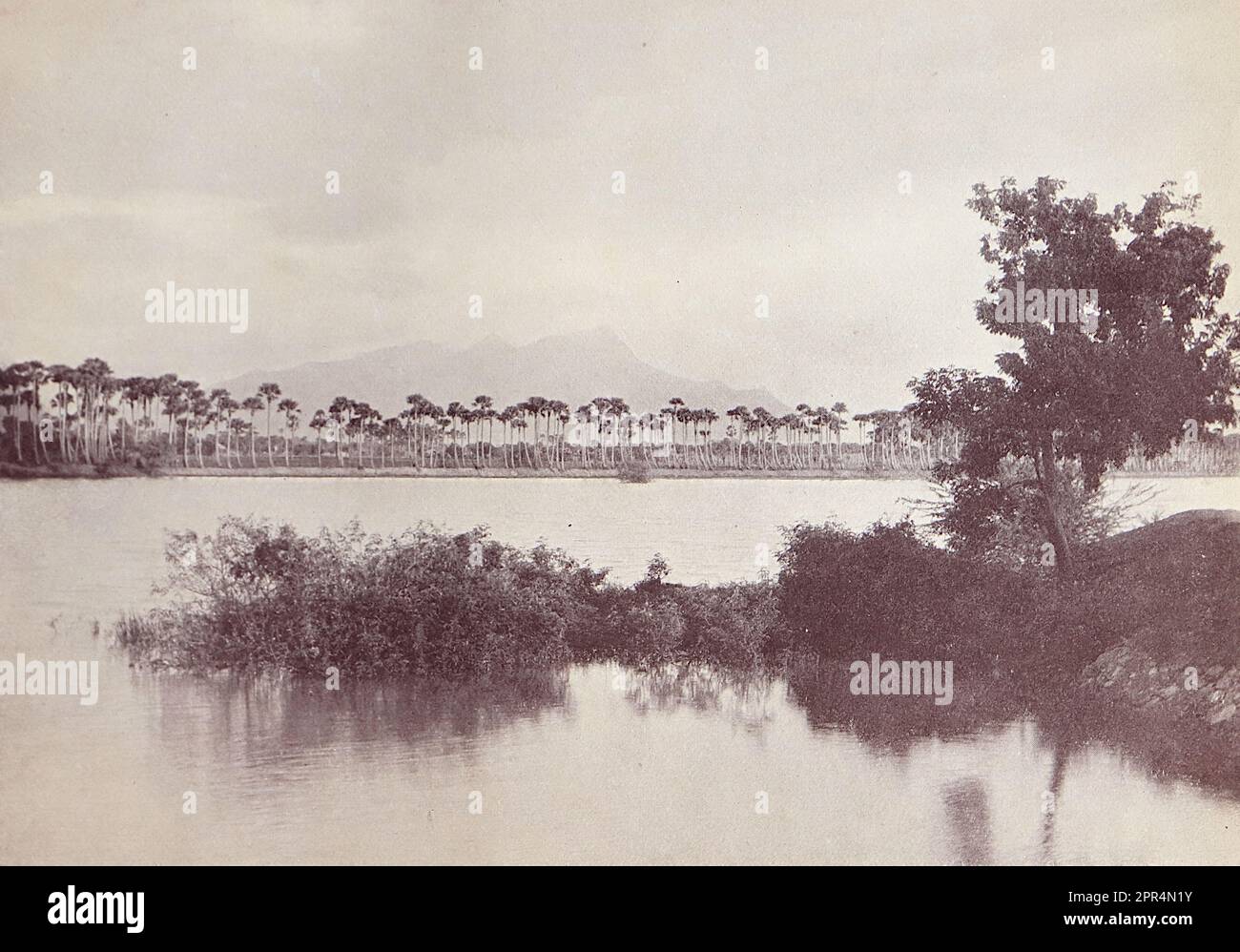 Amy wilson carmichael immagini e fotografie stock ad alta risoluzione ...