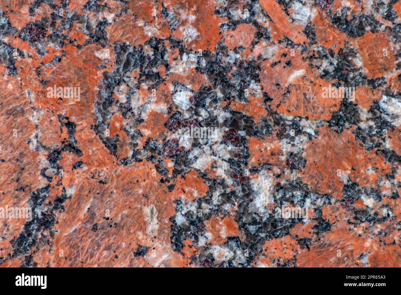 Elegante marmo rosso e marmo nero di elegante pavimento con piastrelle ...