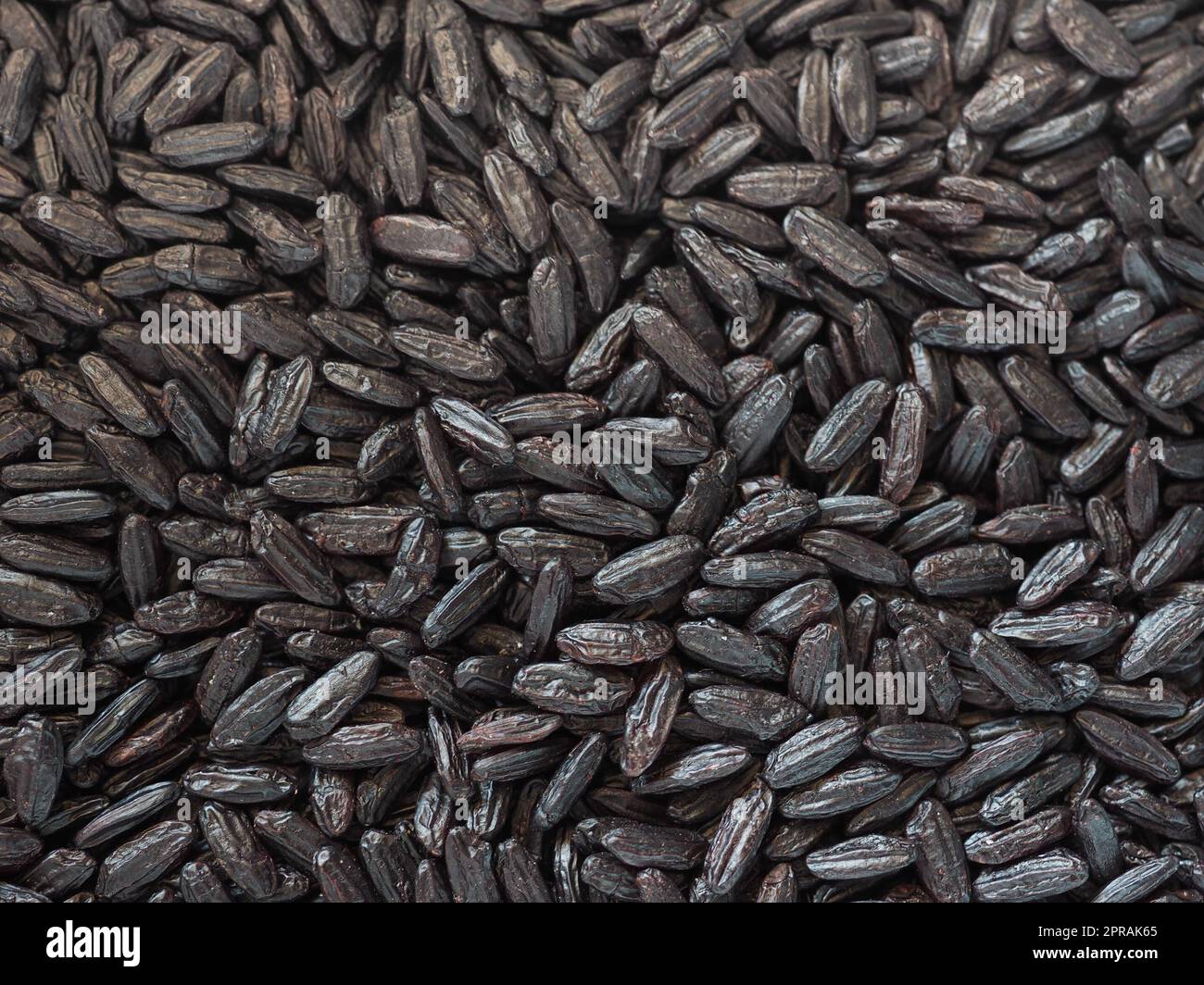 Riso venere immagini e fotografie stock ad alta risoluzione - Alamy