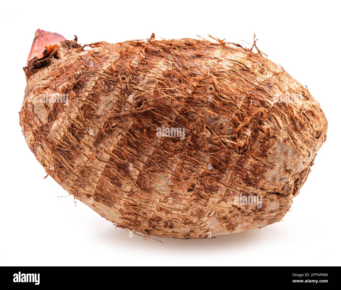 Alimento base brasiliano immagini e fotografie stock ad alta ...