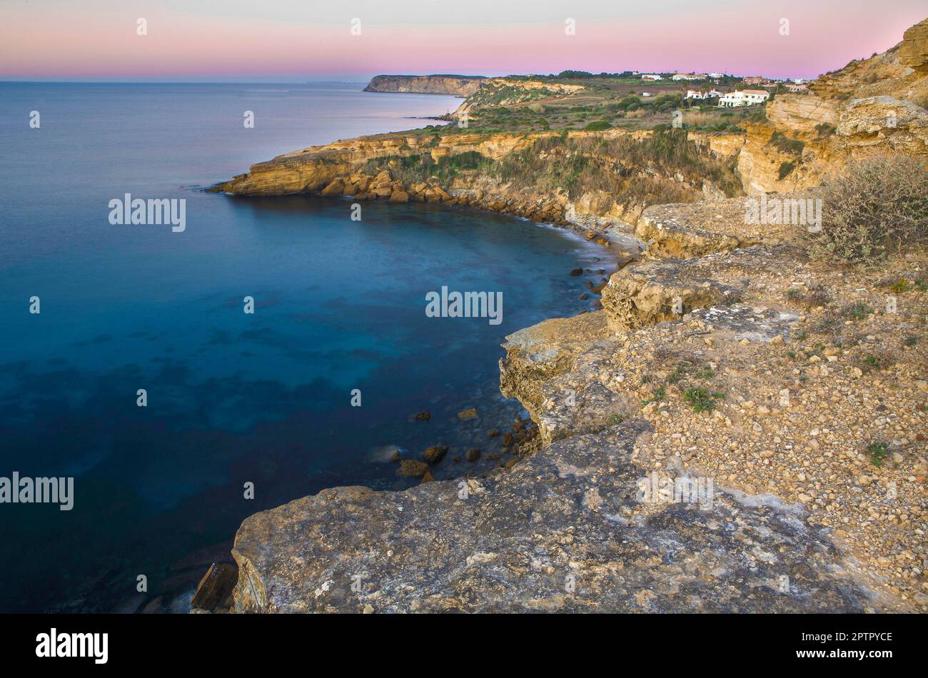 Scogliere di cama da vaca immagini e fotografie stock ad alta ...