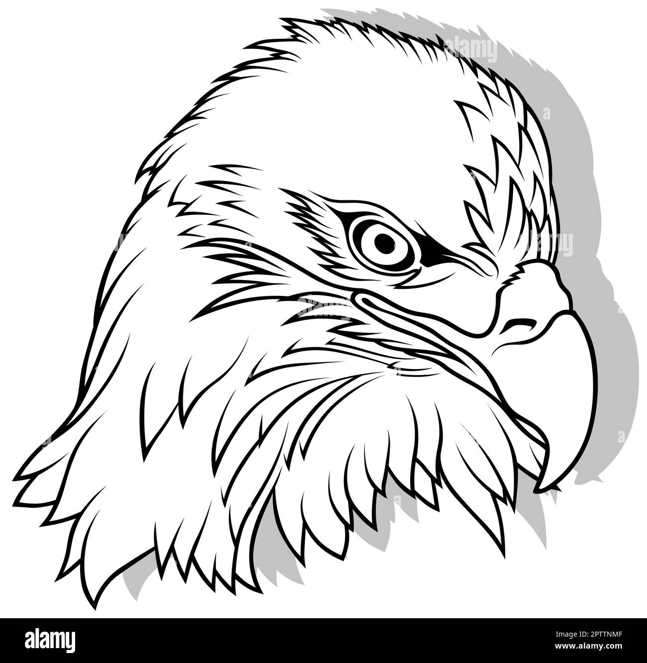 Aquila disegno immagini e fotografie stock ad alta risoluzione - Alamy
