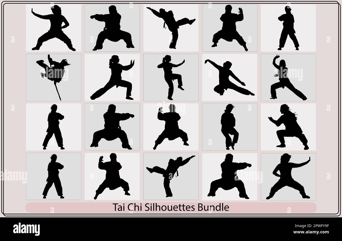 Tai chi chuan Immagini Vettoriali Stock - Alamy