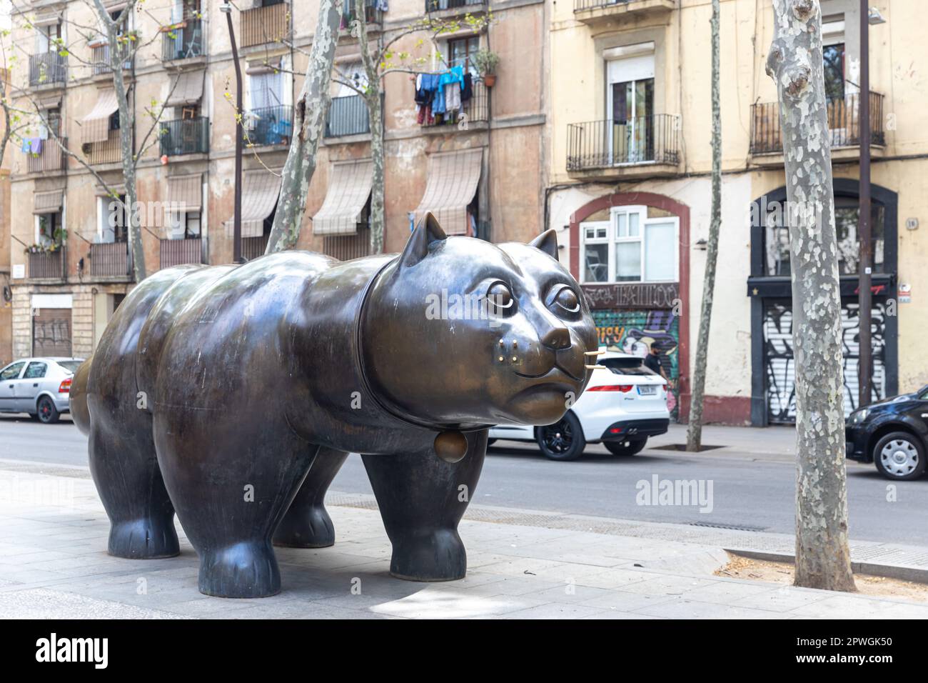 Gato botero raval immagini e fotografie stock ad alta risoluzione - Alamy