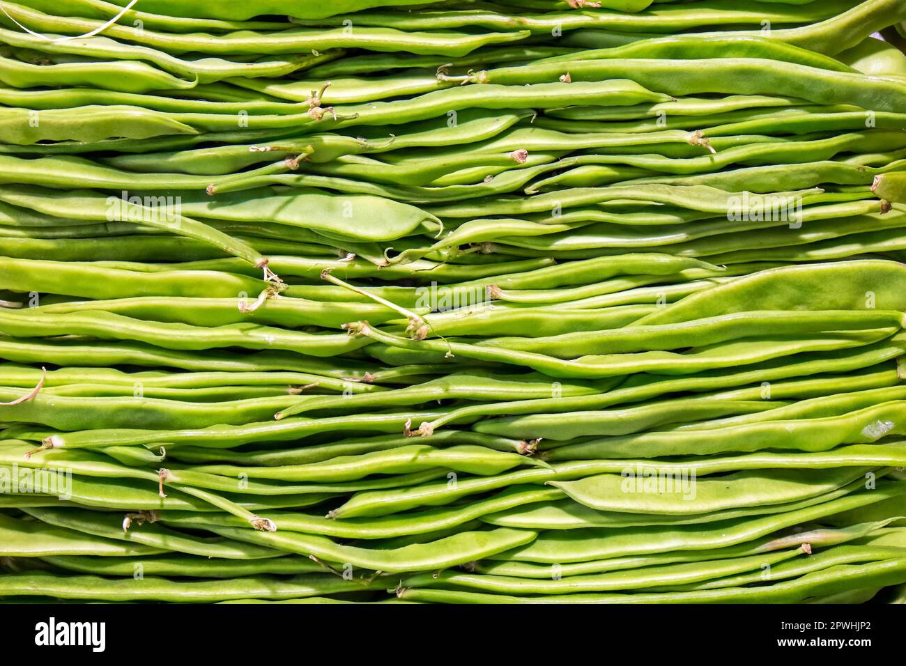 Cornice di pisello immagini e fotografie stock ad alta risoluzione - Alamy