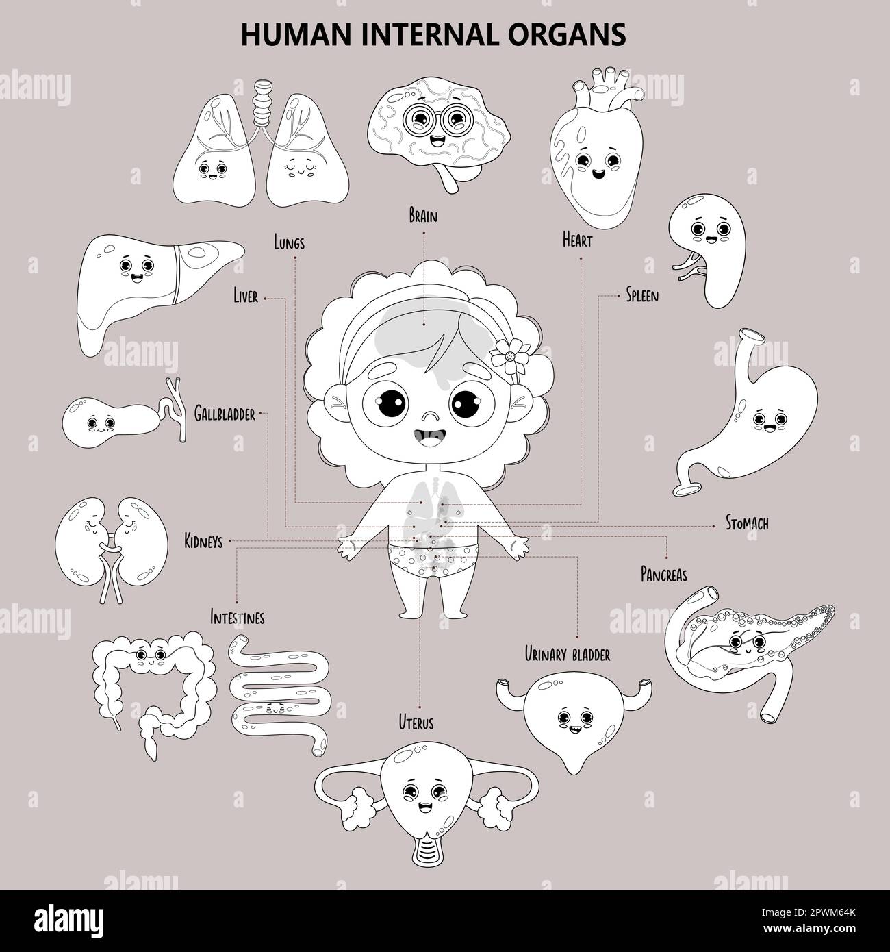 Anatomia dei bambini corpo umano femminile. Ragazza carina e organi ...