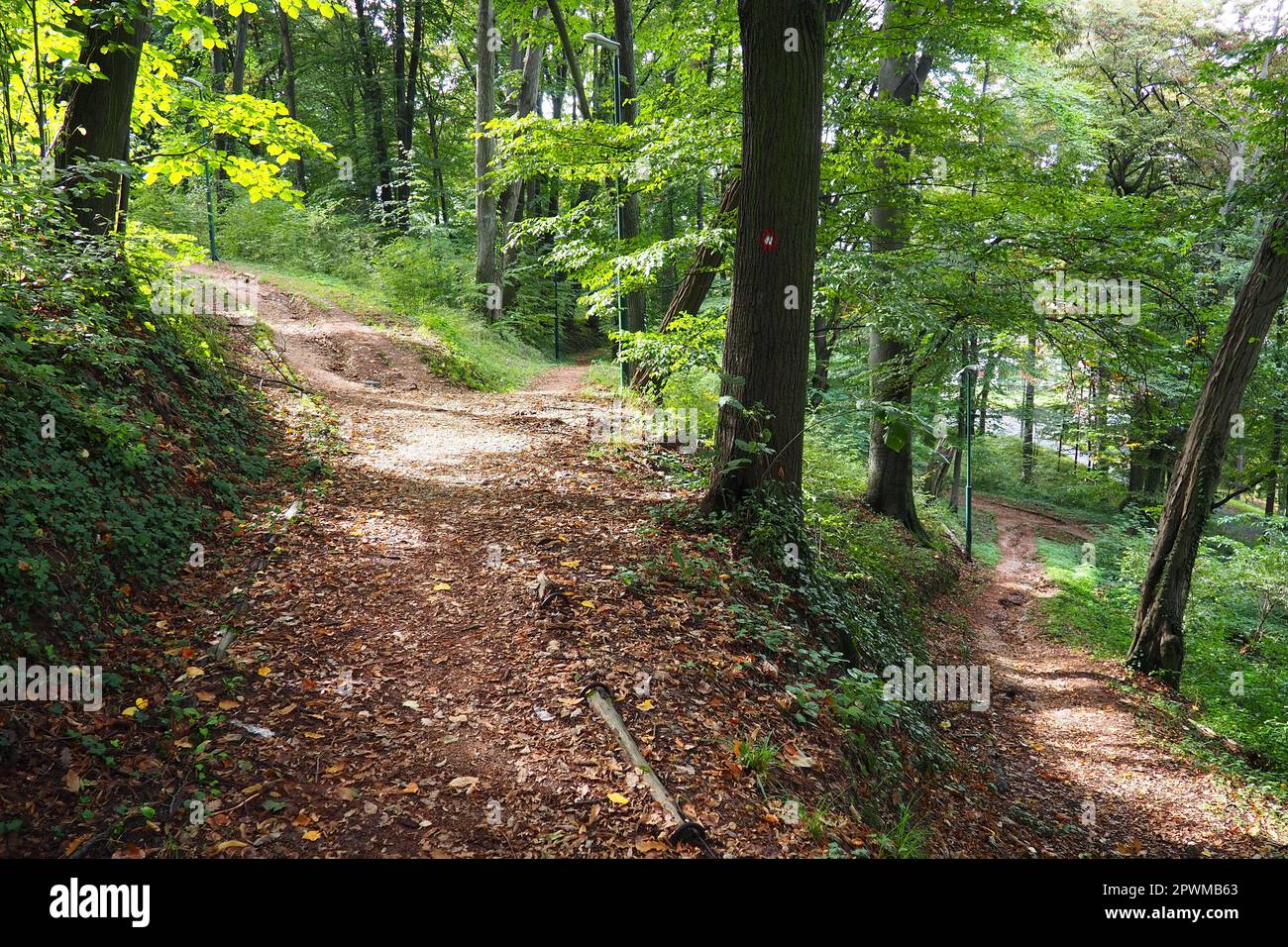 Sanatorio di zolfo immagini e fotografie stock ad alta risoluzione - Alamy