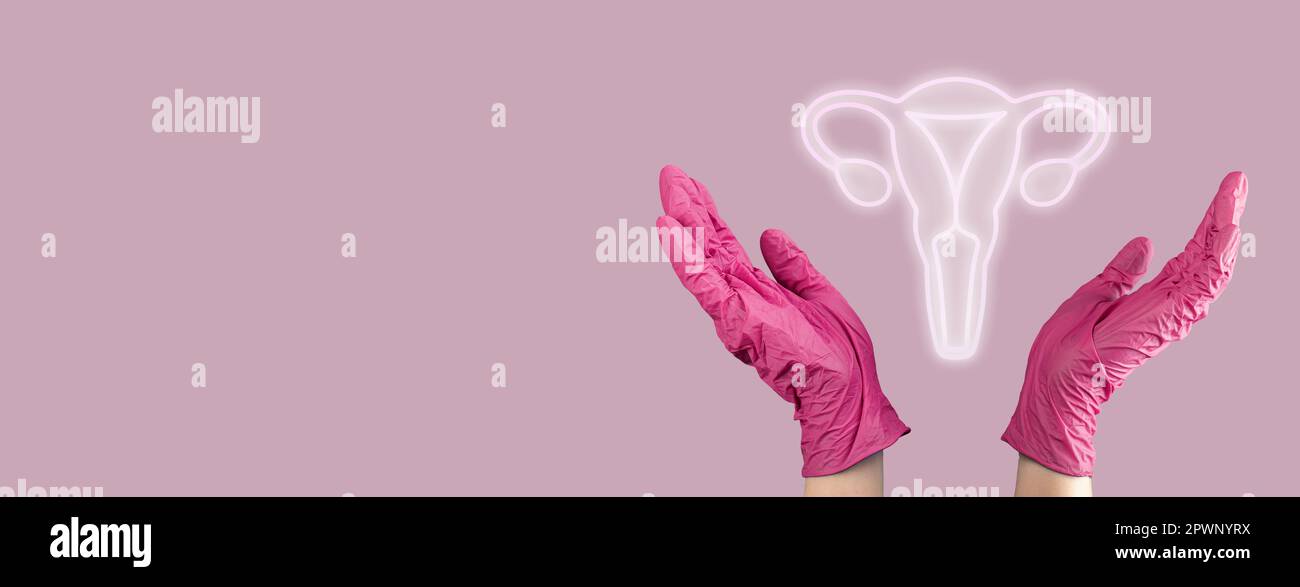 Sistema genitale immagini e fotografie stock ad alta risoluzione - Alamy