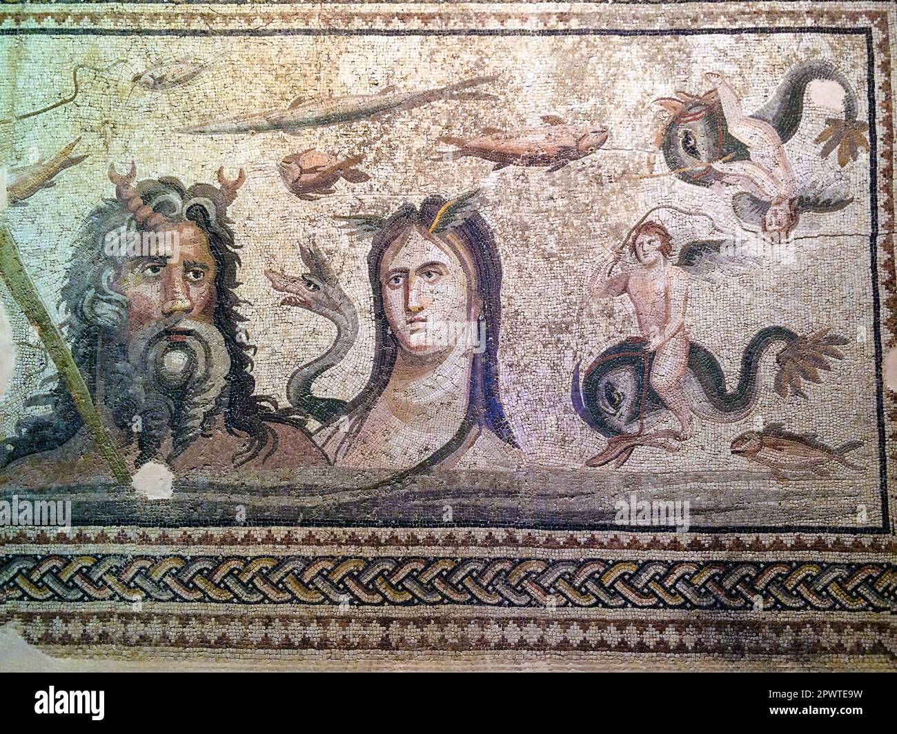 Degli dei del mare teti immagini e fotografie stock ad alta risoluzione ...