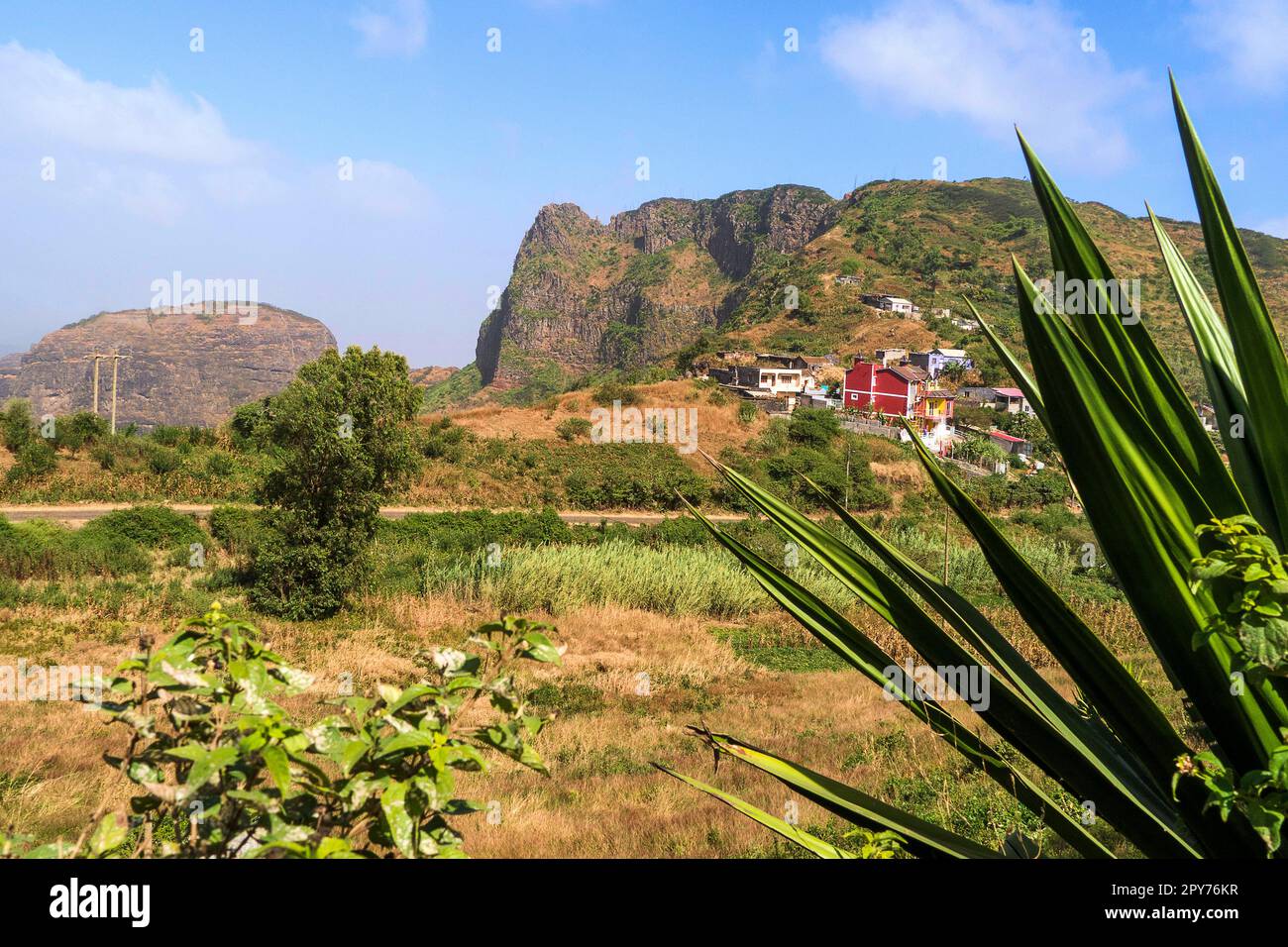 Rui vaz immagini e fotografie stock ad alta risoluzione - Alamy
