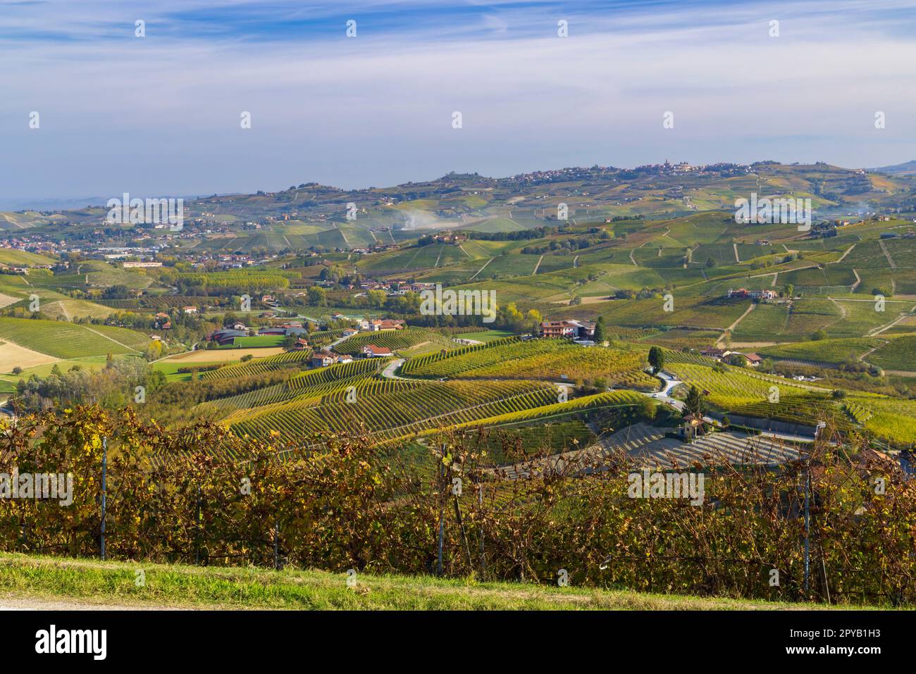 Italia villaggio vite piemonte immagini e fotografie stock ad alta ...
