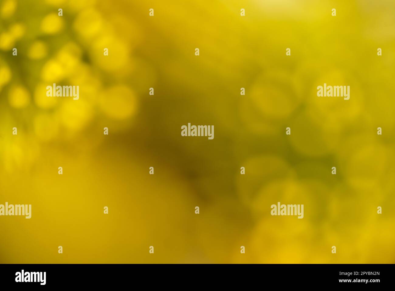 Sfondo giallo neutro immagini e fotografie stock ad alta risoluzione ...