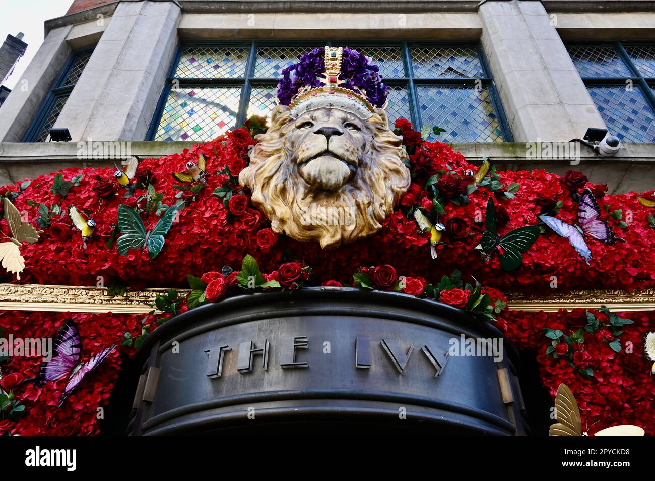 Londra, Regno Unito. Il ristorante Ivy è decorato in onore del grande ...