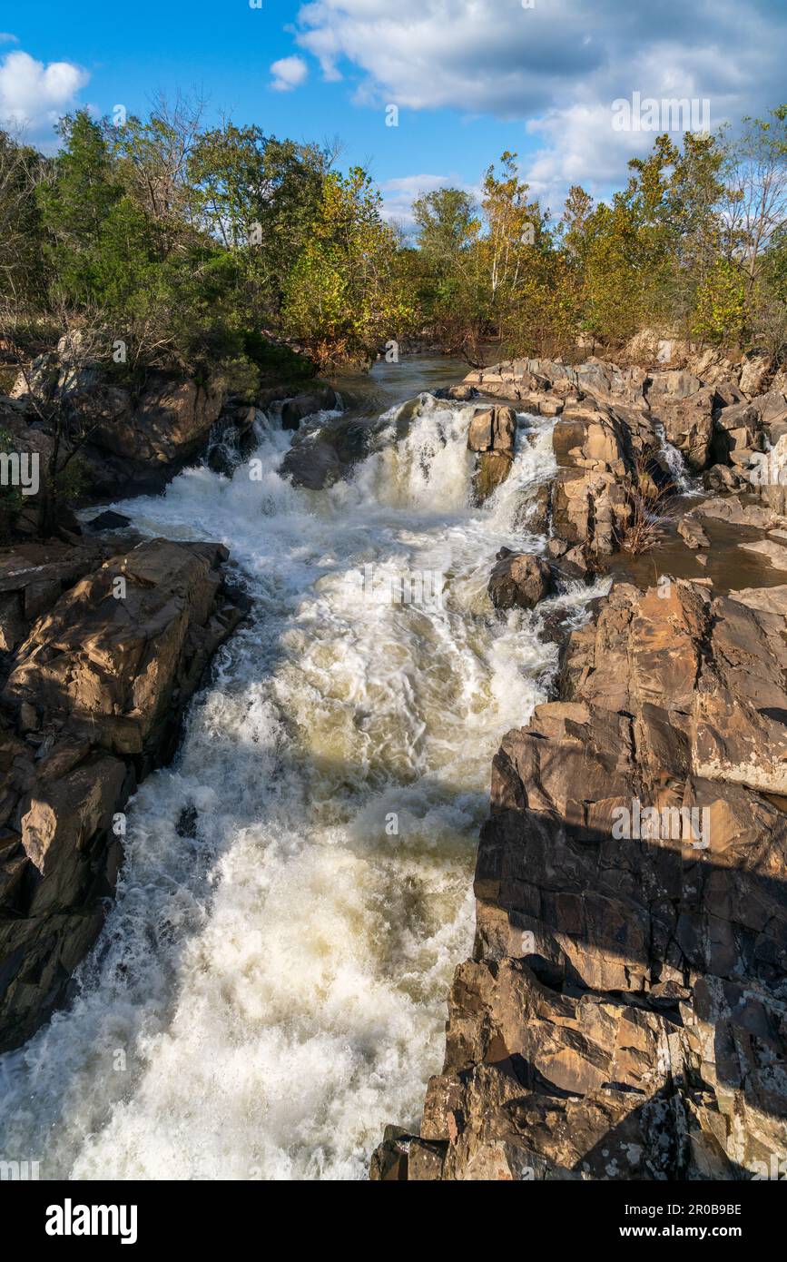 ökosystem des potomac river immagini e fotografie stock ad alta ...
