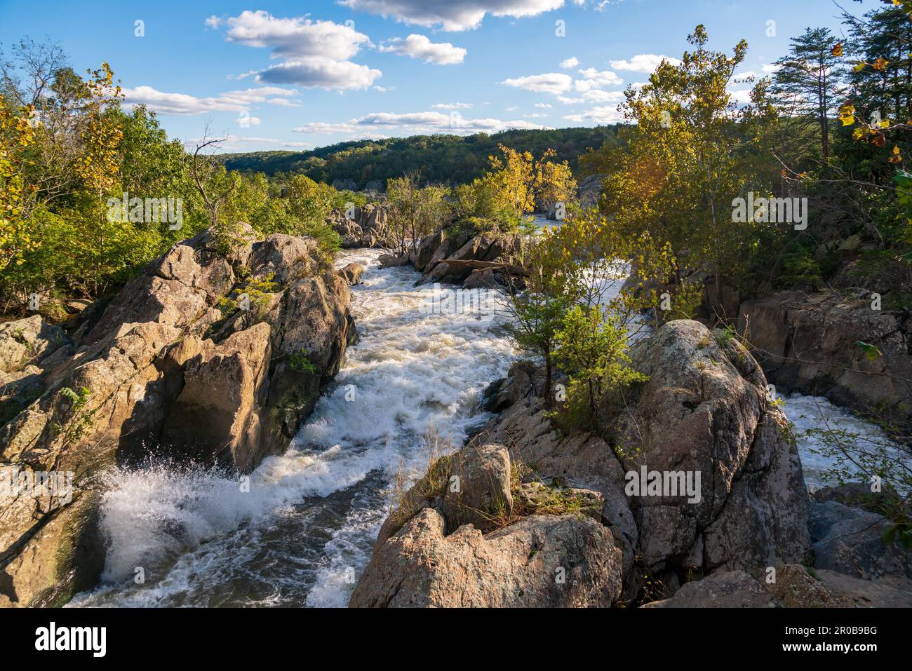 ökosystem des potomac river immagini e fotografie stock ad alta ...