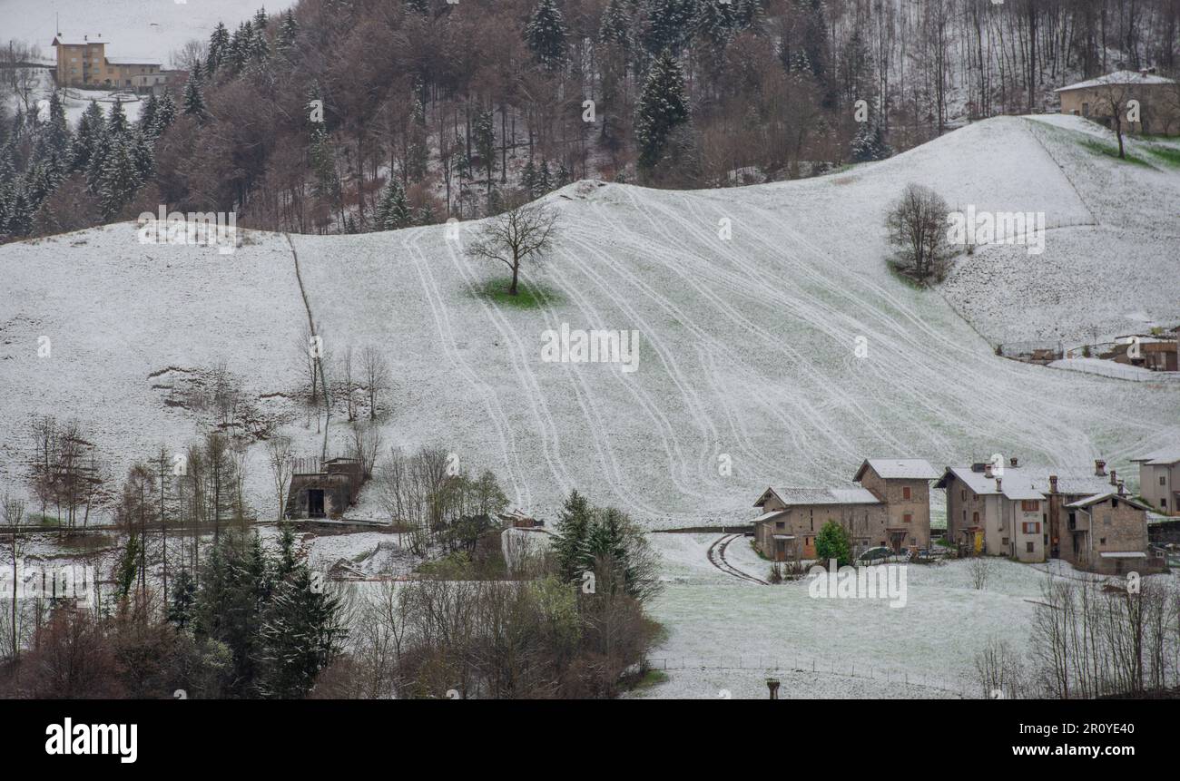 Albero in prato innevato immagini e fotografie stock ad alta ...