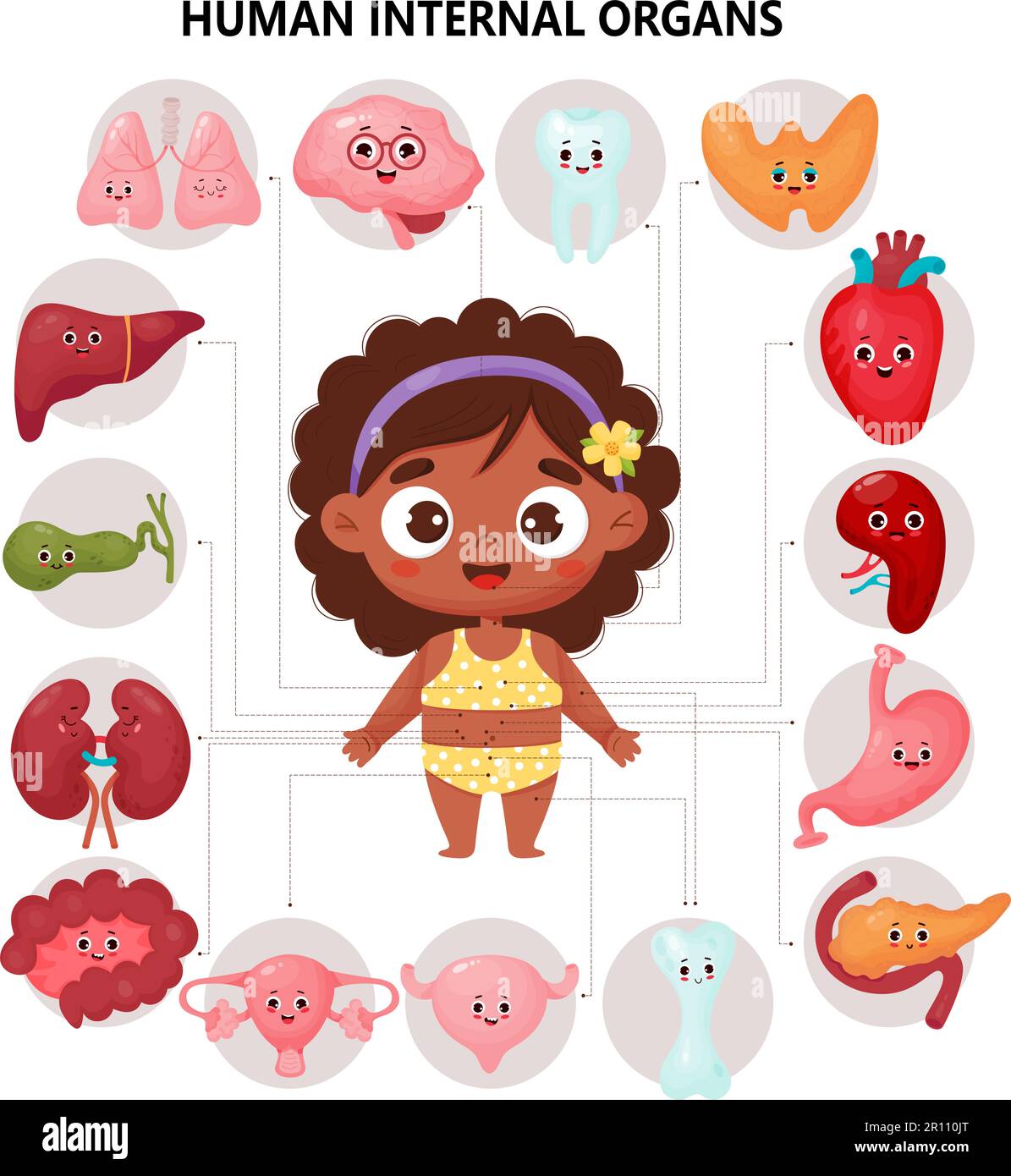 Personaggi cartoni animati di organi femminili. Anatomia del corpo ...