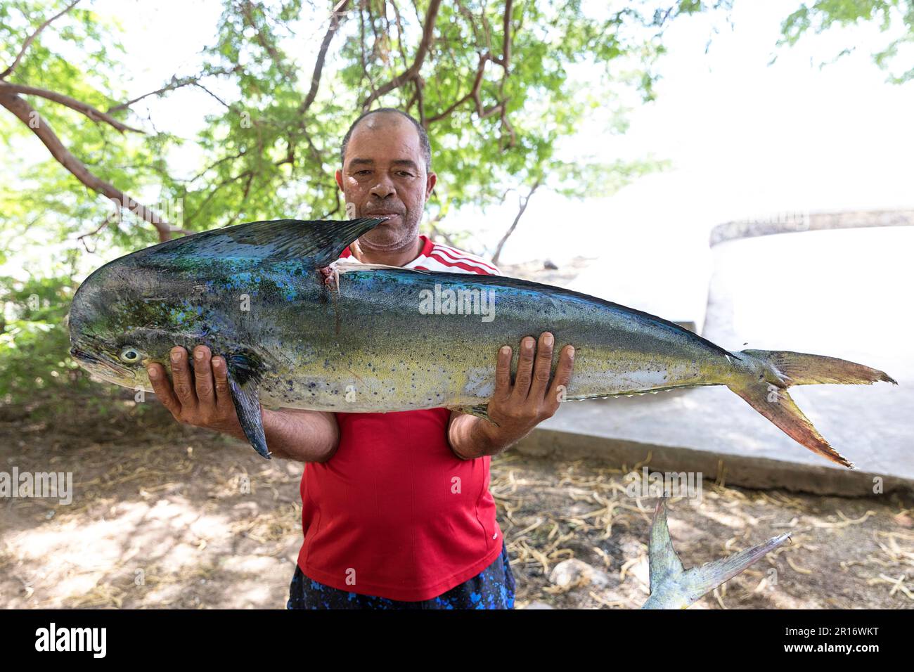 Monte dorado immagini e fotografie stock ad alta risoluzione - Alamy