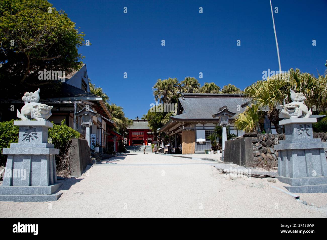 Aoshima jinja immagini e fotografie stock ad alta risoluzione - Alamy