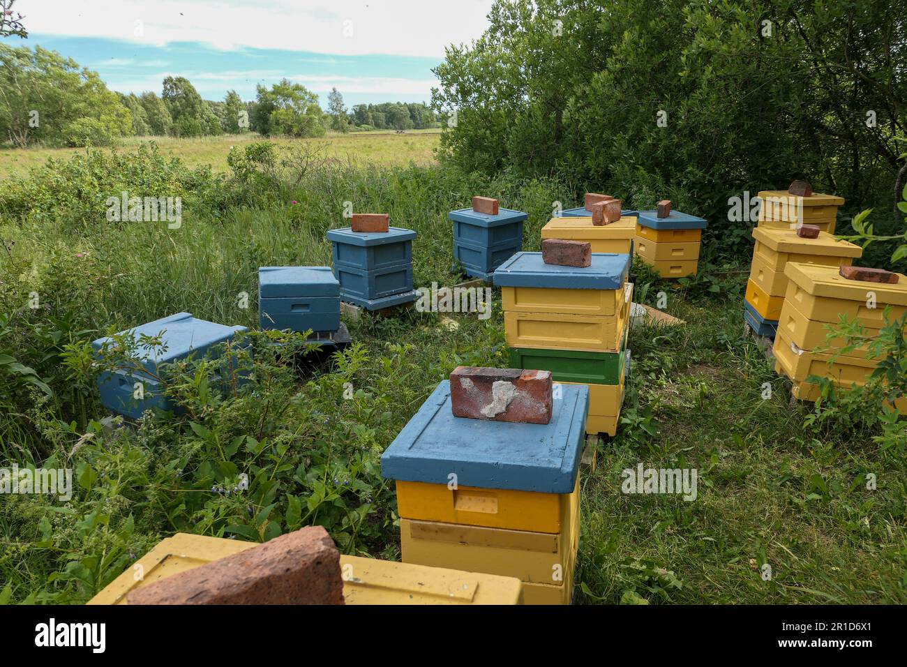 Alveari in un prato immagini e fotografie stock ad alta risoluzione - Alamy