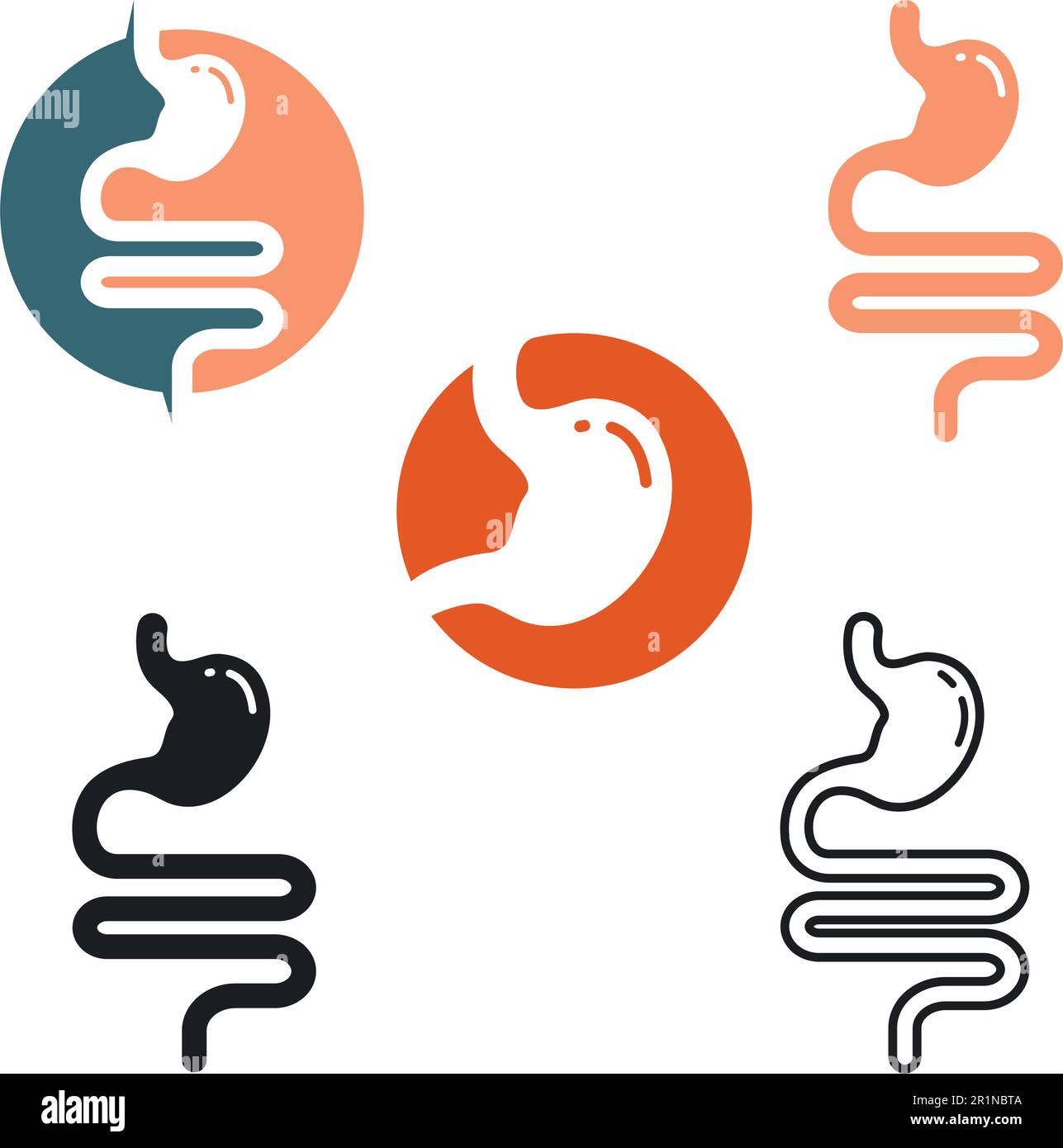 Esofago gastrectomia Immagini Vettoriali Stock - Alamy