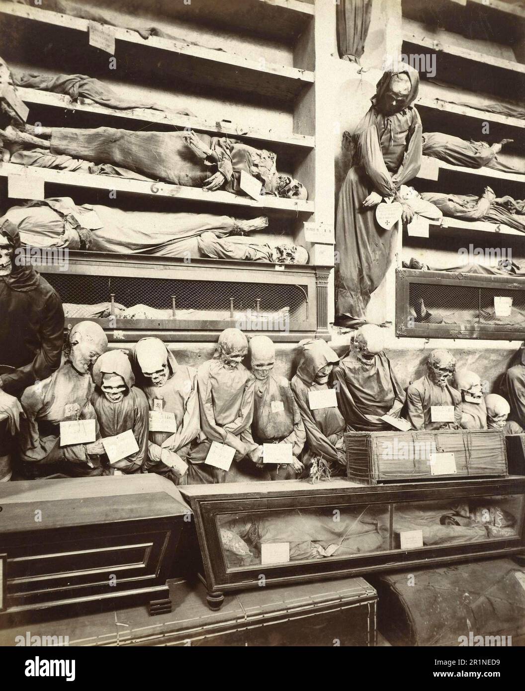 La Cripta dei Cappuccini di Palermo, le Catacombe dei Cappuccini, vasto ...