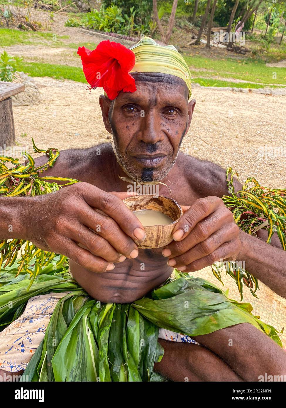 Il kava è una bevanda tradizionale e culturalmente significativa a ...