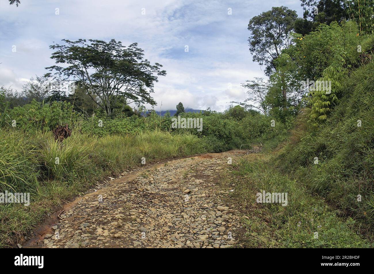 Paisaje tipico della papua immagini e fotografie stock ad alta ...