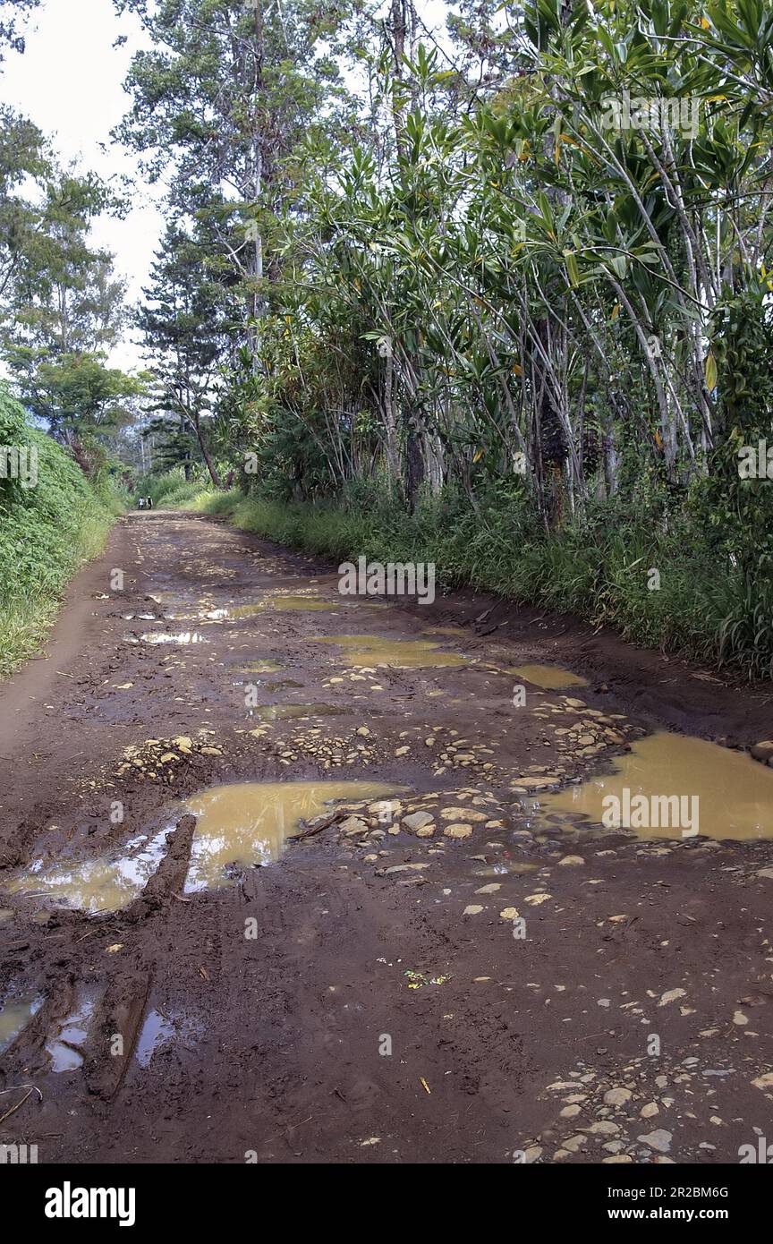 Paisaje tipico della papua immagini e fotografie stock ad alta ...