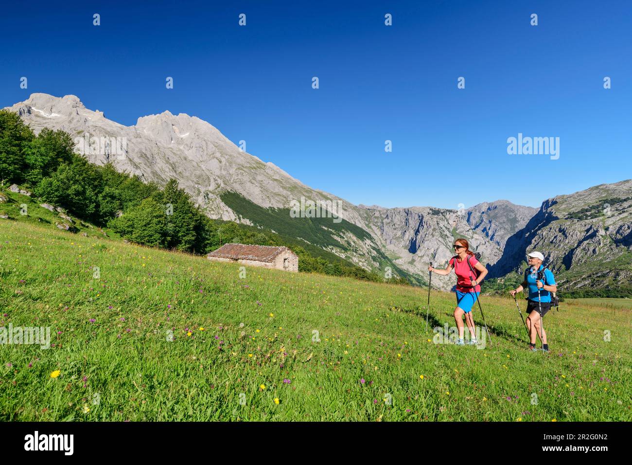 Pico albo immagini e fotografie stock ad alta risoluzione - Alamy