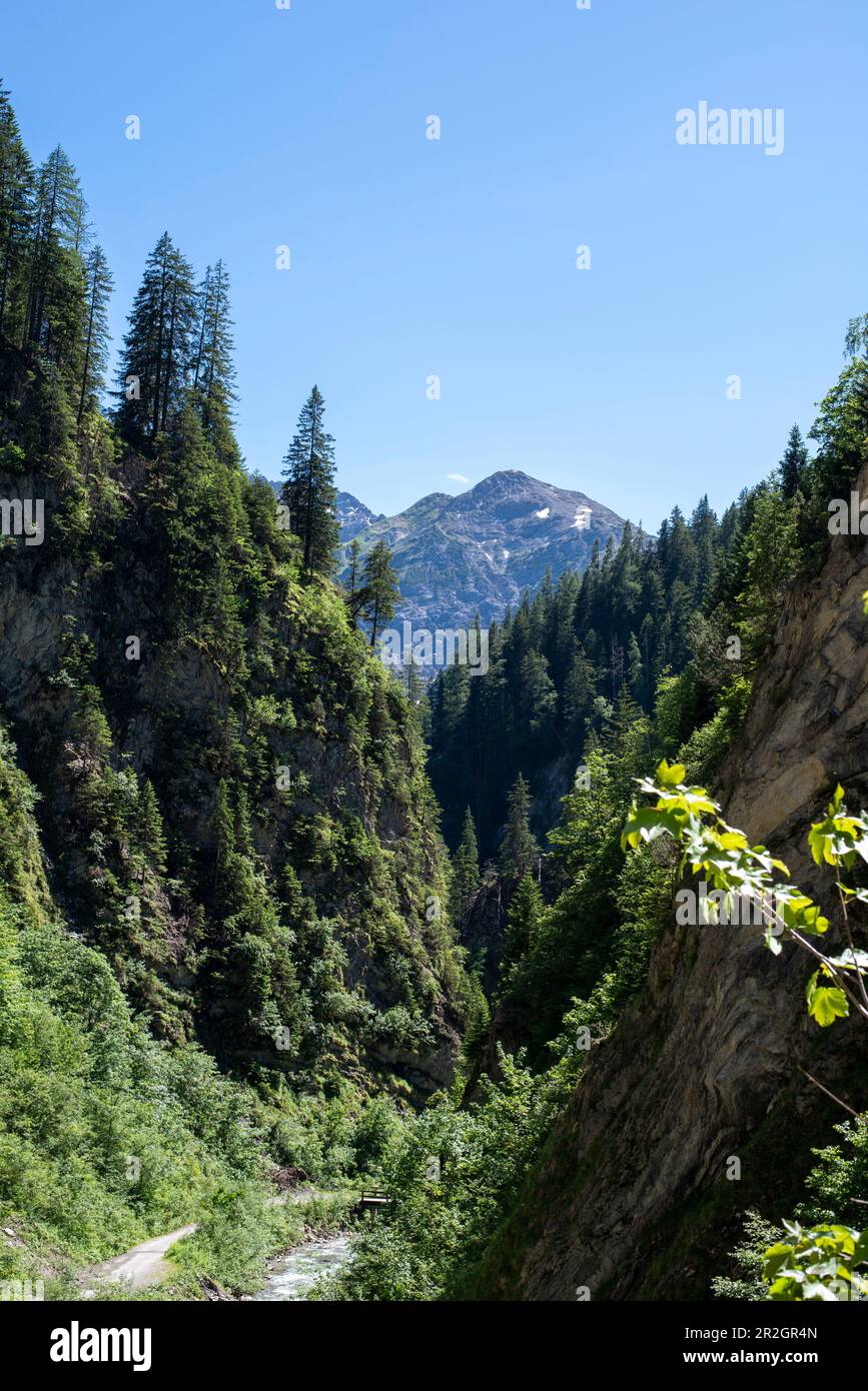 Sentiero escursionistico a lunga percorrenza e5 immagini e fotografie ...