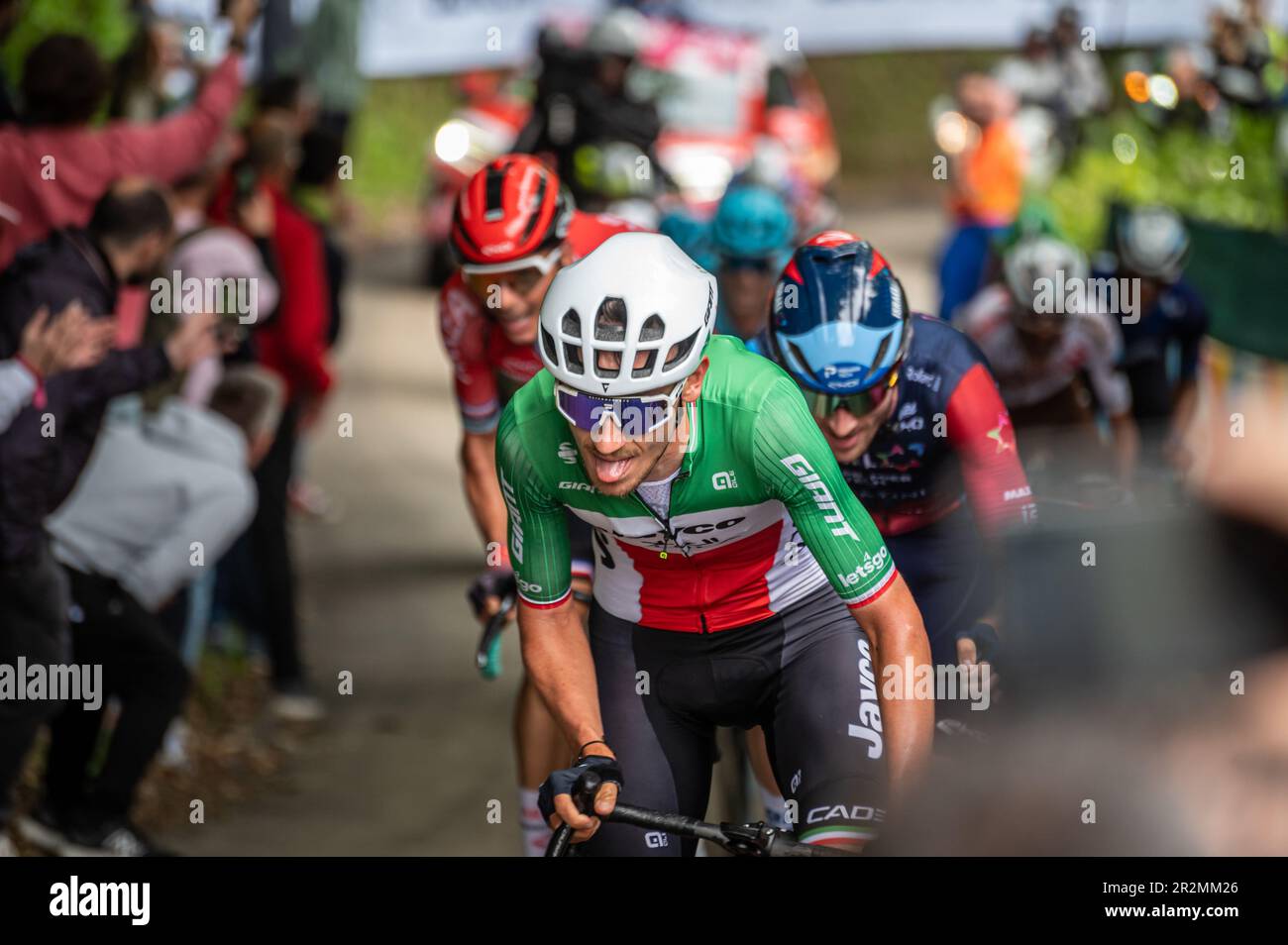 Italia, 13 maggio 2023: I ciclisti professionisti affrontano l'ottava ...