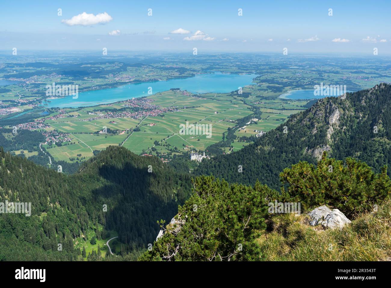 Lake forggen forggensee immagini e fotografie stock ad alta risoluzione ...