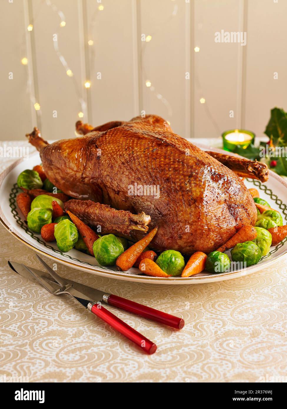 Free range goose immagini e fotografie stock ad alta risoluzione - Alamy