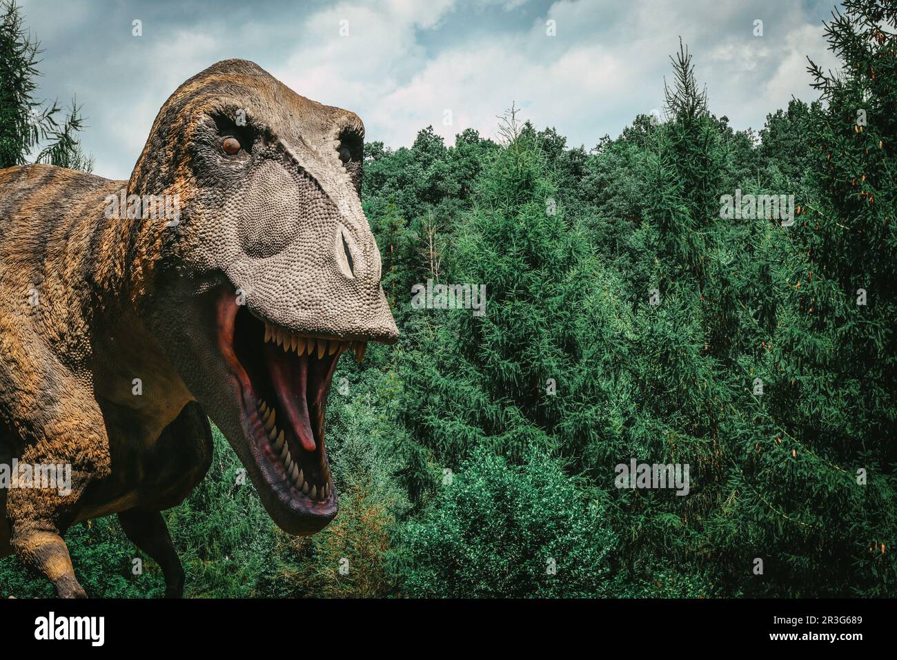 Cabeza de tiranosaurio rex immagini e fotografie stock ad alta ...