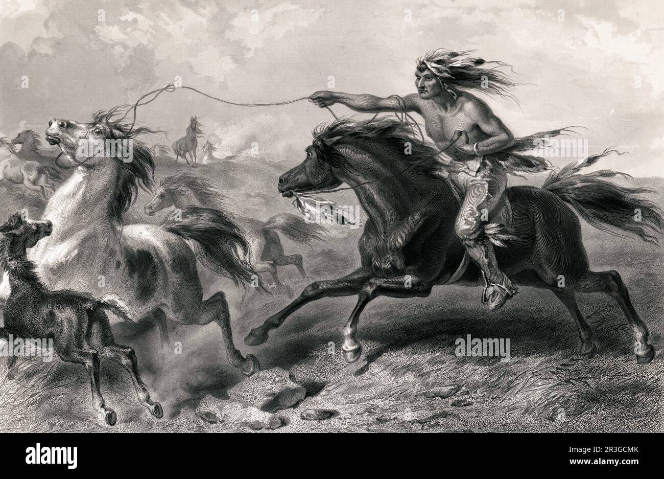 Native american conflict immagini e fotografie stock ad alta ...
