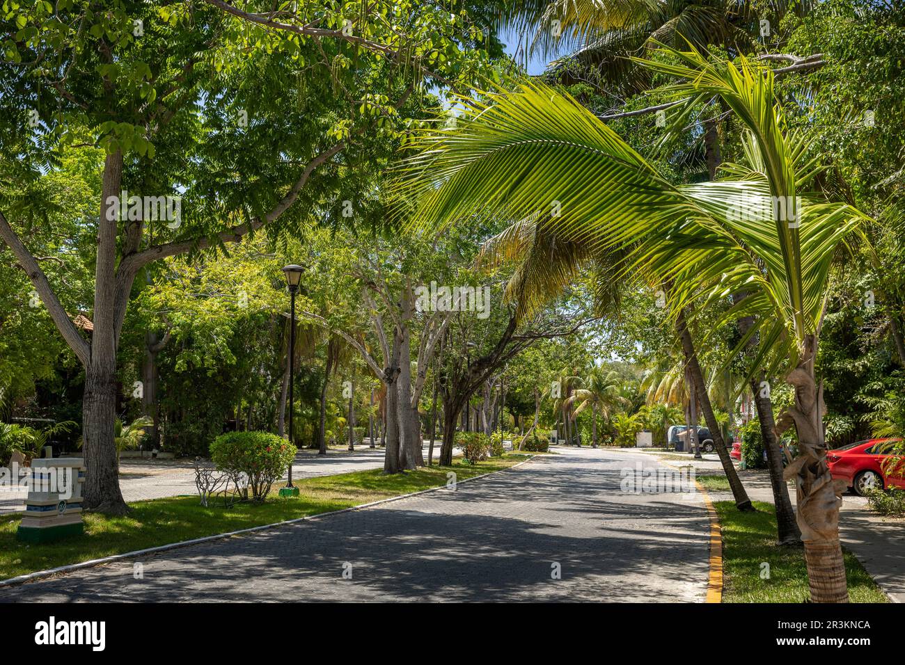 Dorato ricco celeste immagini e fotografie stock ad alta risoluzione ...