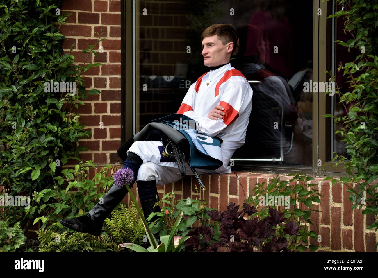 Daniel muscutt immagini e fotografie stock ad alta risoluzione - Alamy