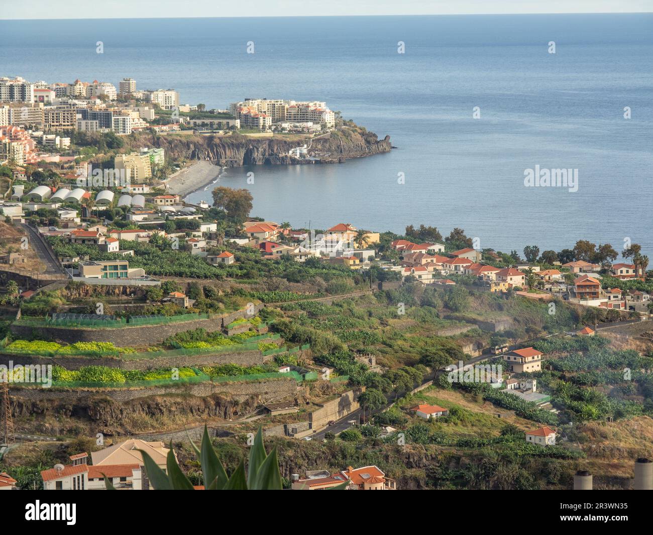 Isola di madeira madeira immagini e fotografie stock ad alta ...