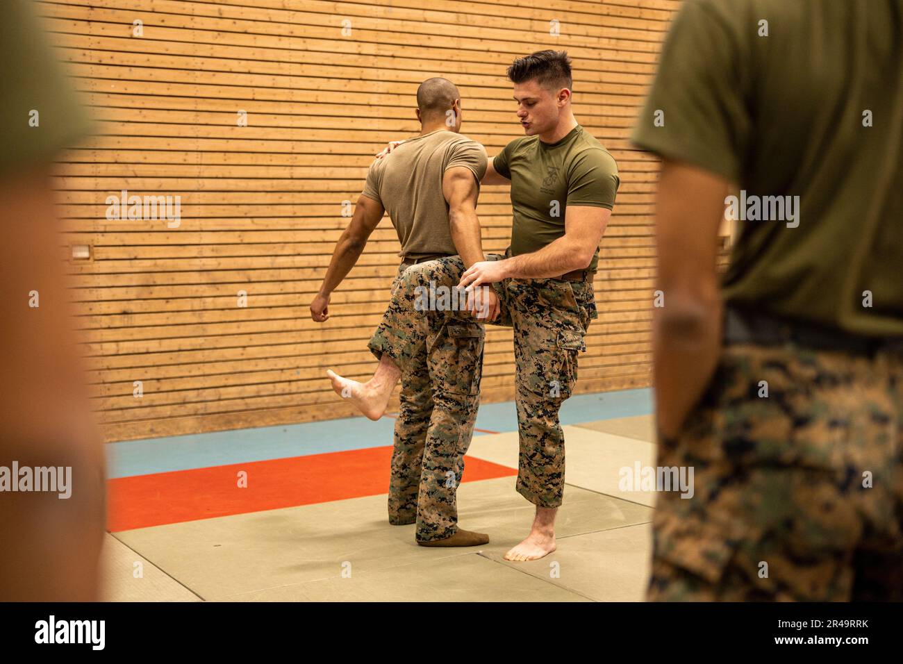 Technique mcmap immagini e fotografie stock ad alta risoluzione - Alamy