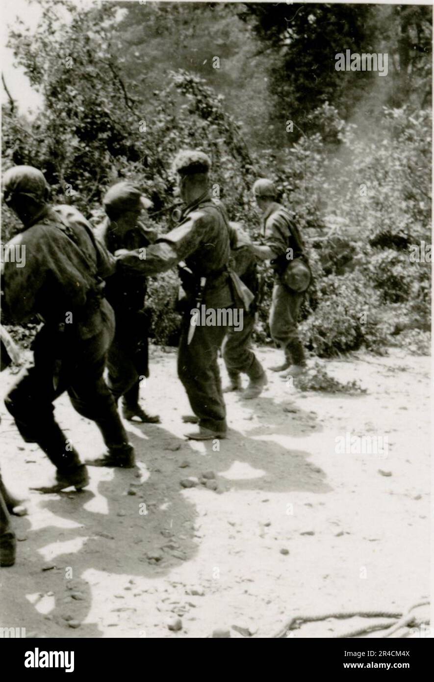 SS fotografo Willi Altstadt, Wiking Division, Russia 1942. Scene del ...